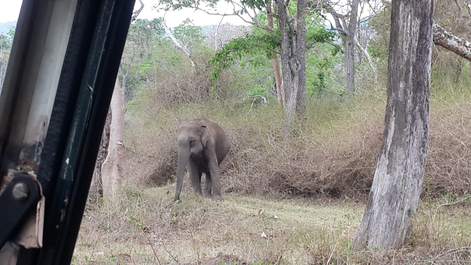 Kabini Safari Guide 2025: Booking, Zones, Wildlife & Honest Tips ...